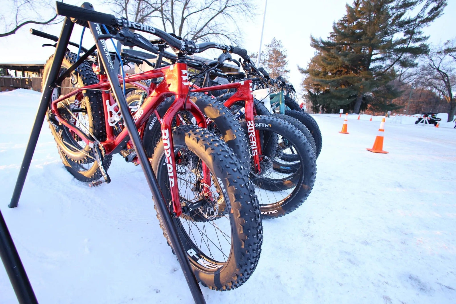 Demo Models - Borealis Fat Bikes